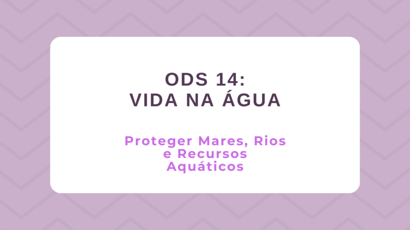 Tecnologias para a vida: ODS 14 – Vida na Água: Proteger Mares, rios e recursos aquáticos